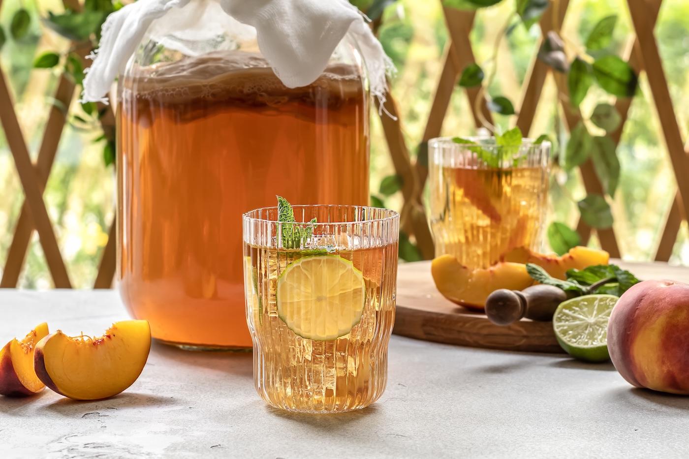 Kombucha - huba, násada, predaj, nápoj - KD.sk